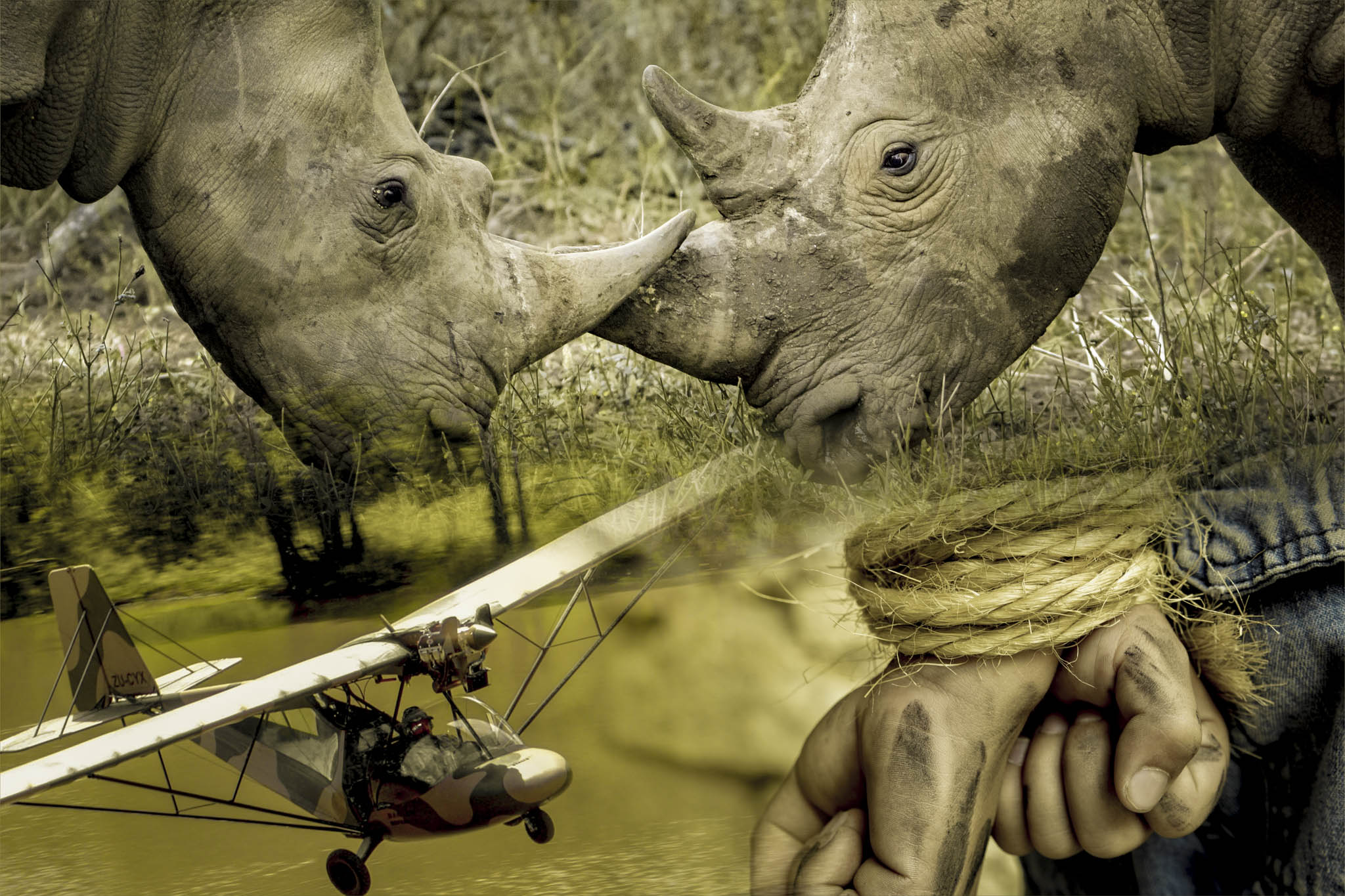 Captive - Tony Park International Author