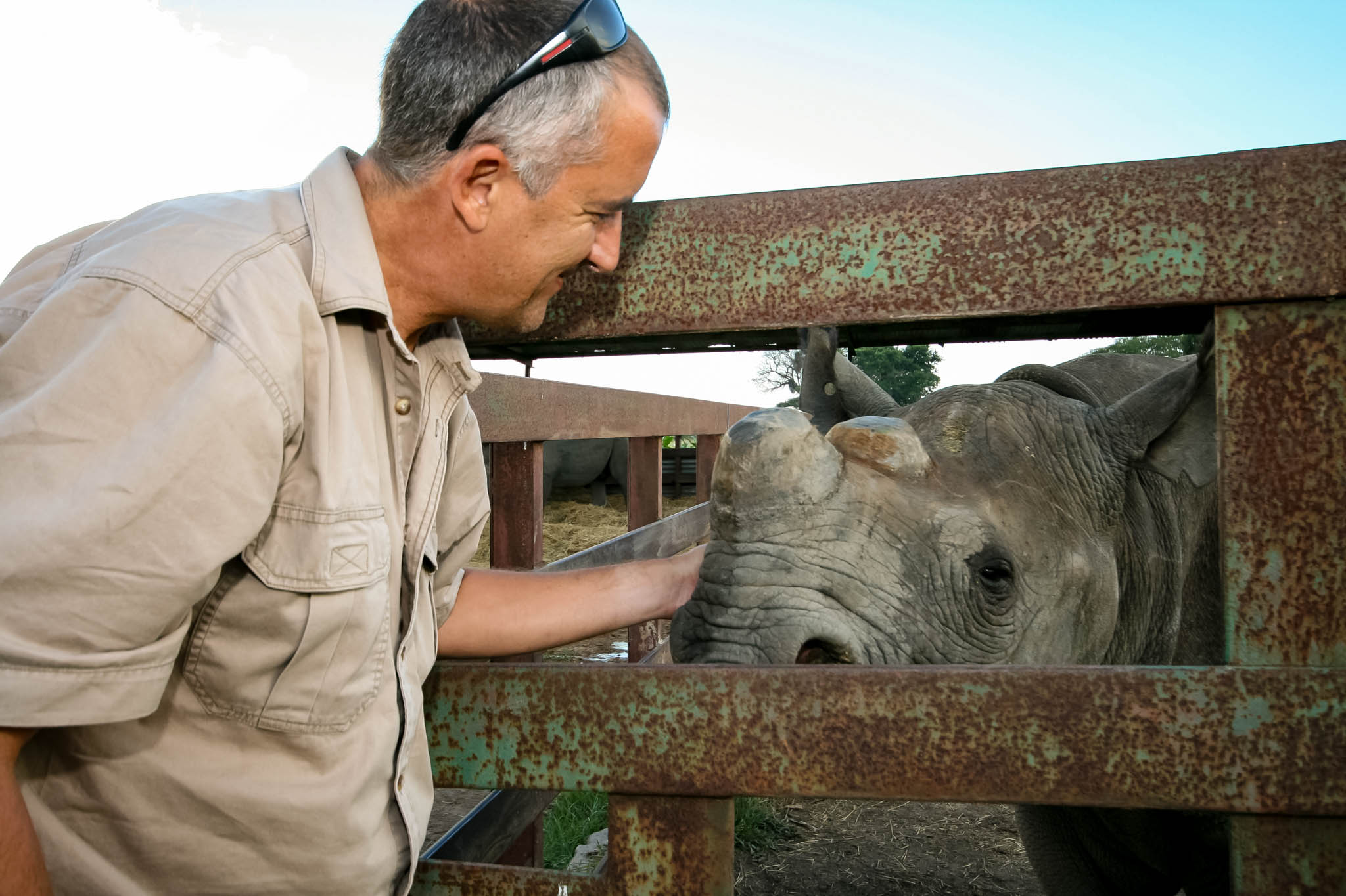 Get Involved - Tony Park International Author